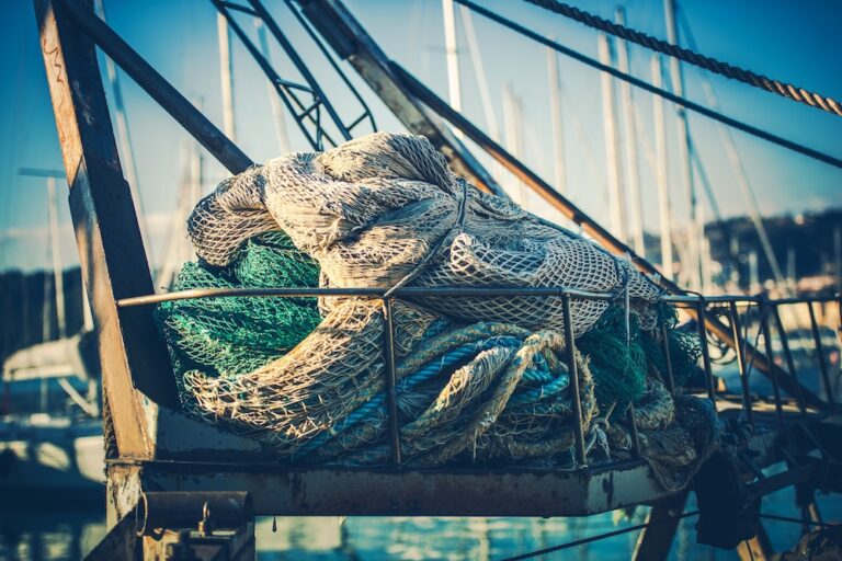 What Is Bycatch — and Why It’s Destroying Marine Life - Uber Artisan